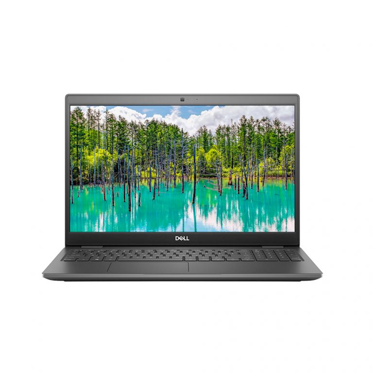 Dell Latitude 7310