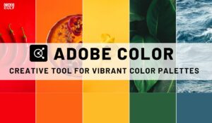 Adobe Color: A Creative Tool for Vibrant Color Palettes