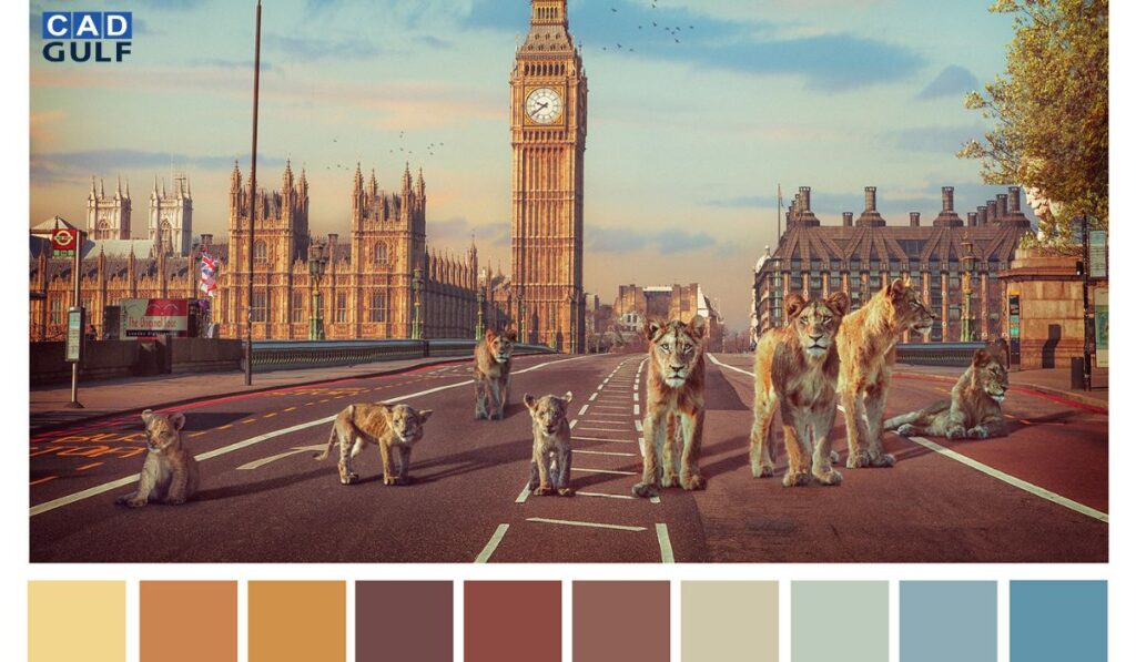 Adobe Color: A Creative Tool for Vibrant Color Palettes